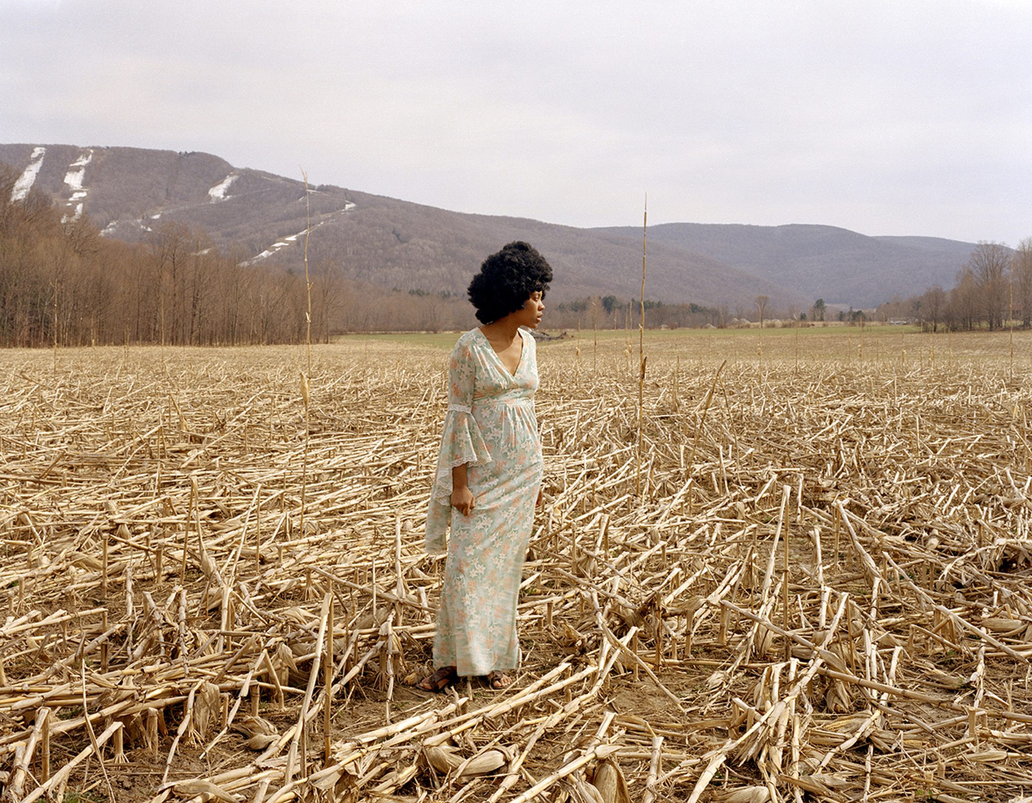 Bridget R. Cooks Lecture – Ricker Library of Architecture and Art – U ...